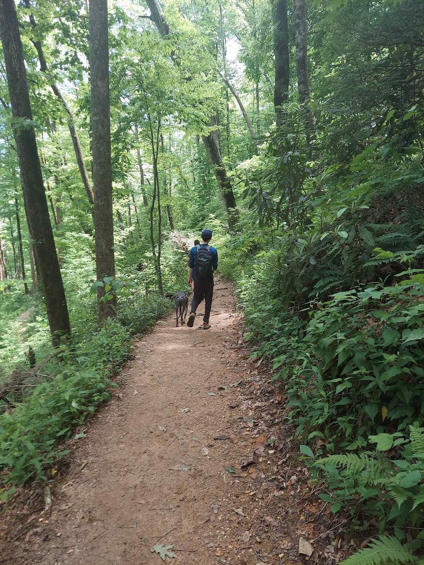 Hike Looking Glass Rock Trail - Wander the Western Carolinas
